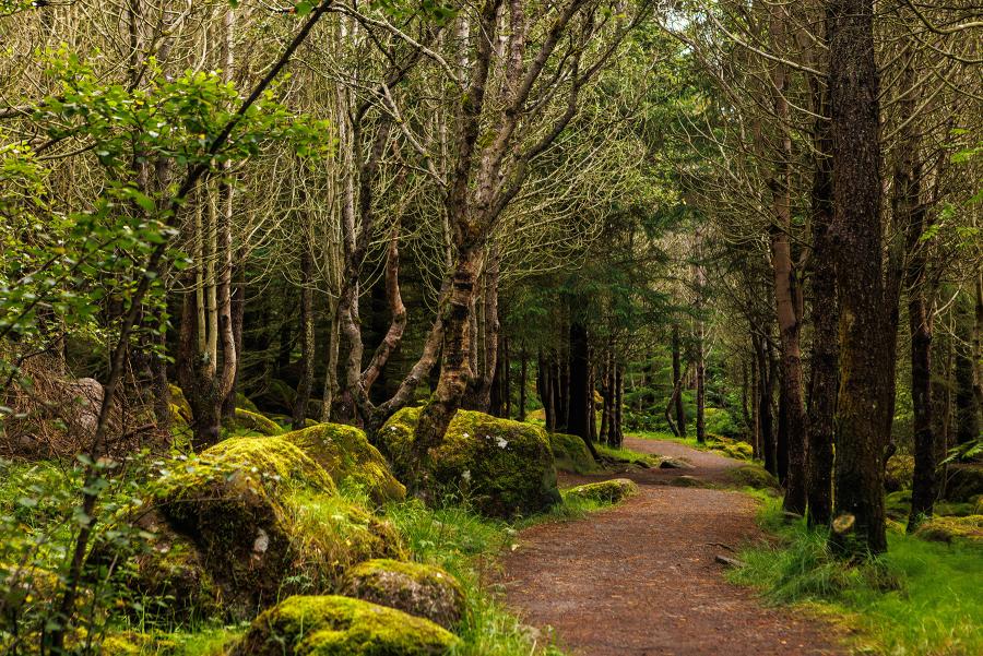 Outdoors in the Greater Capital Area | Út um allt ... höfuðborgarsvæðið